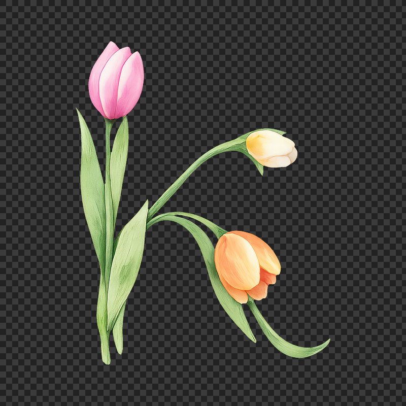 Floral Alphabet K PNG Images | Free Photos, PNG Stickers, Wallpapers ...