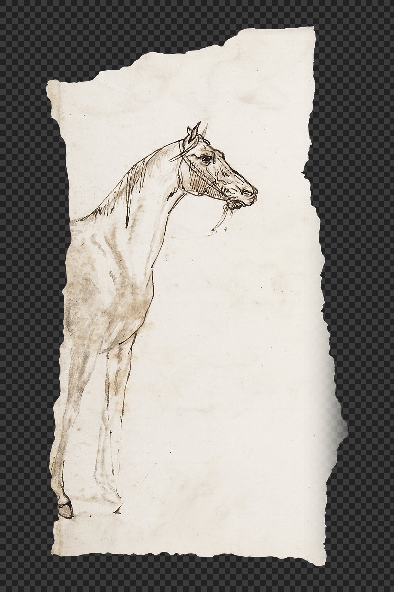 PNG Horse Vintage Transparent Art Images | Free Photos, PNG Stickers ...
