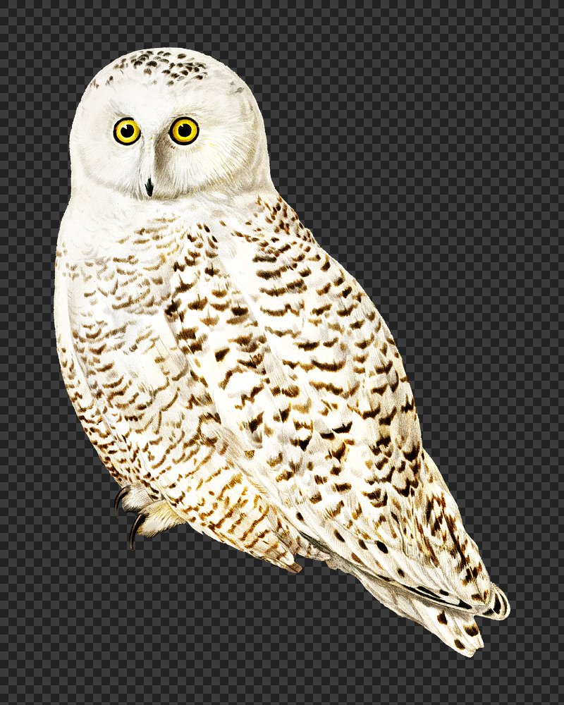 Swedish Art Images | Free Photos, PNG Stickers, Wallpapers ...