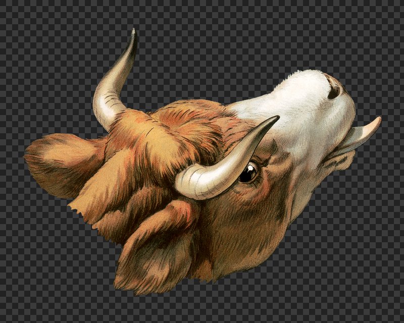 Vintage Cow Print Transparent Images | Free Photos, PNG Stickers ...