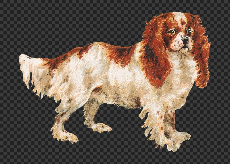 Series Illustration High Resolution Images | Free Photos, PNG Stickers ...