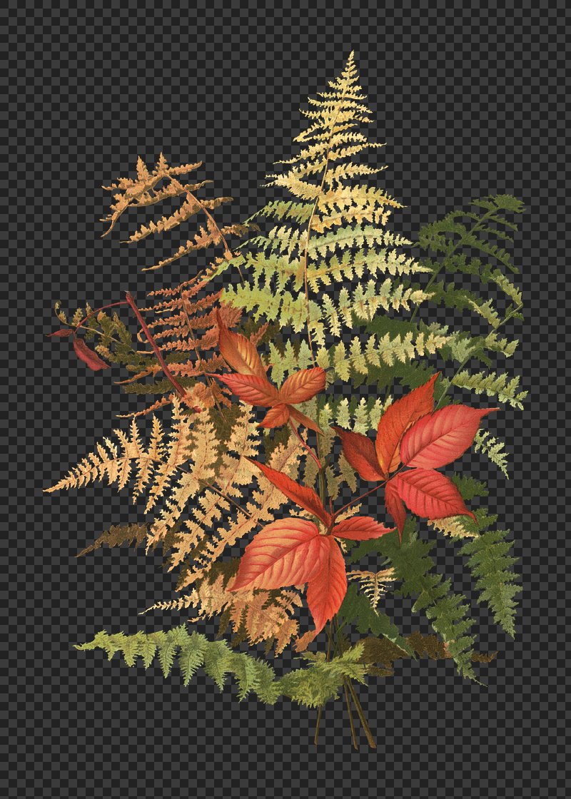 Leaf+cos Botanical Images | Free Photos, PNG Stickers, Wallpapers ...