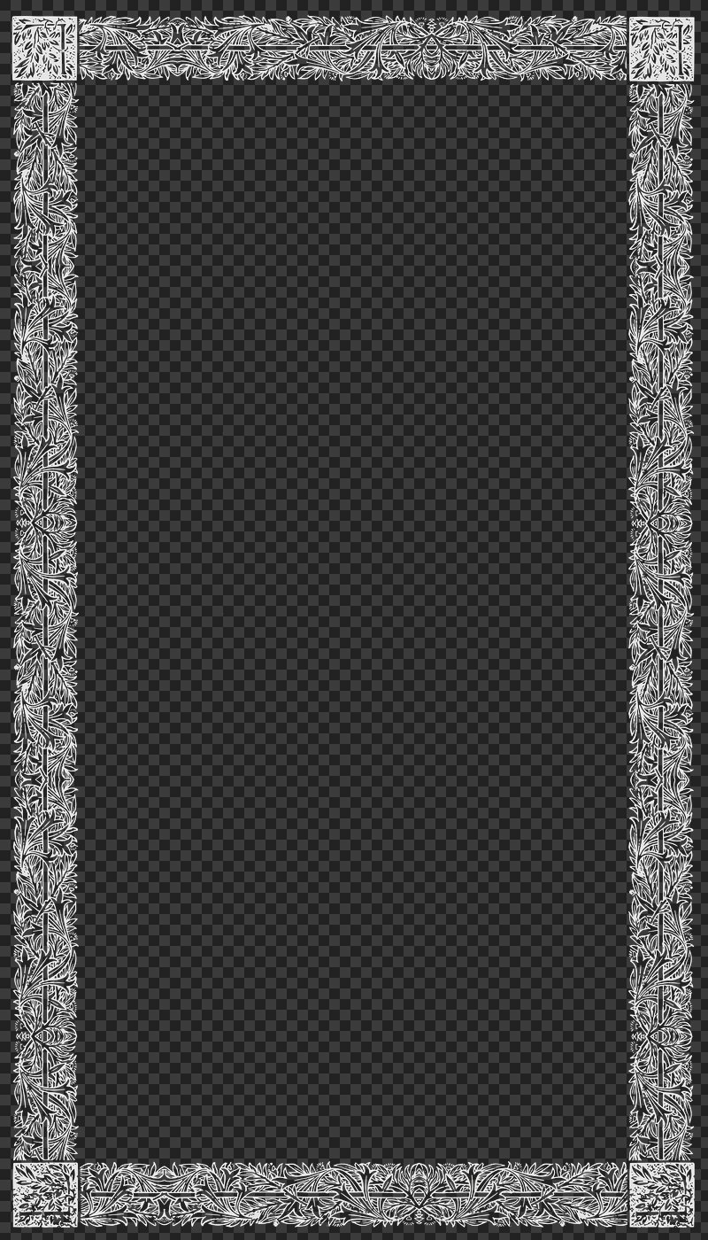 PNG Botanical white frame, transparent | Premium PNG - rawpixel