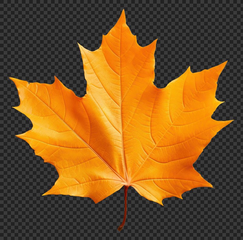 Single Blue Leaves Images | Free Photos, PNG Stickers, Wallpapers ...