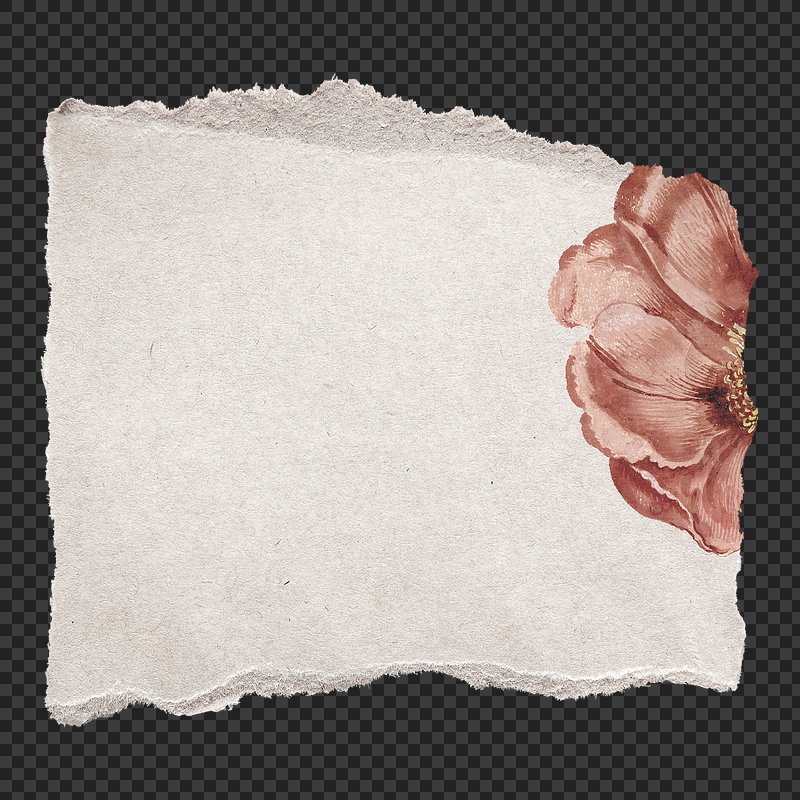 Old Paper Transparent Copy Space Images | Free Photos, PNG Stickers ...