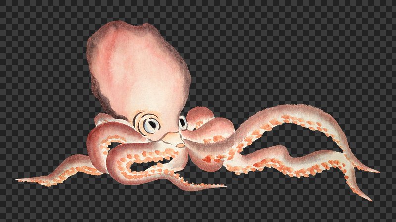 Bound Volume Of Drawings Image Images | Free Photos, PNG Stickers ...