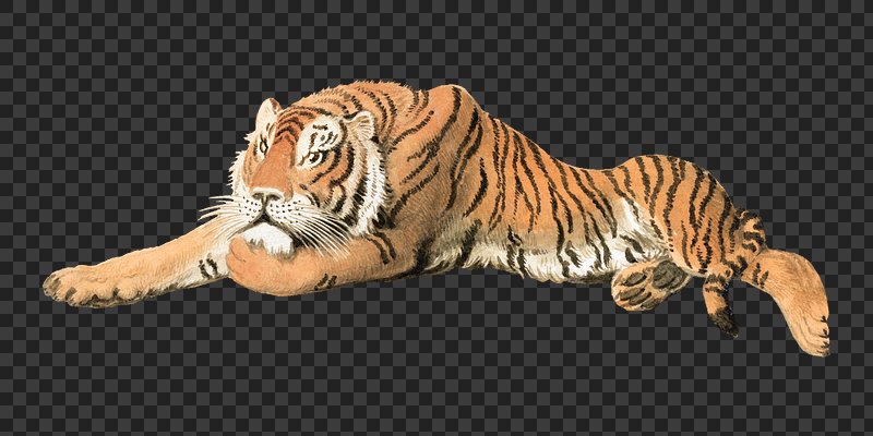 Rock+paper\ Texture Images | Free Photos, PNG Stickers, Wallpapers ...