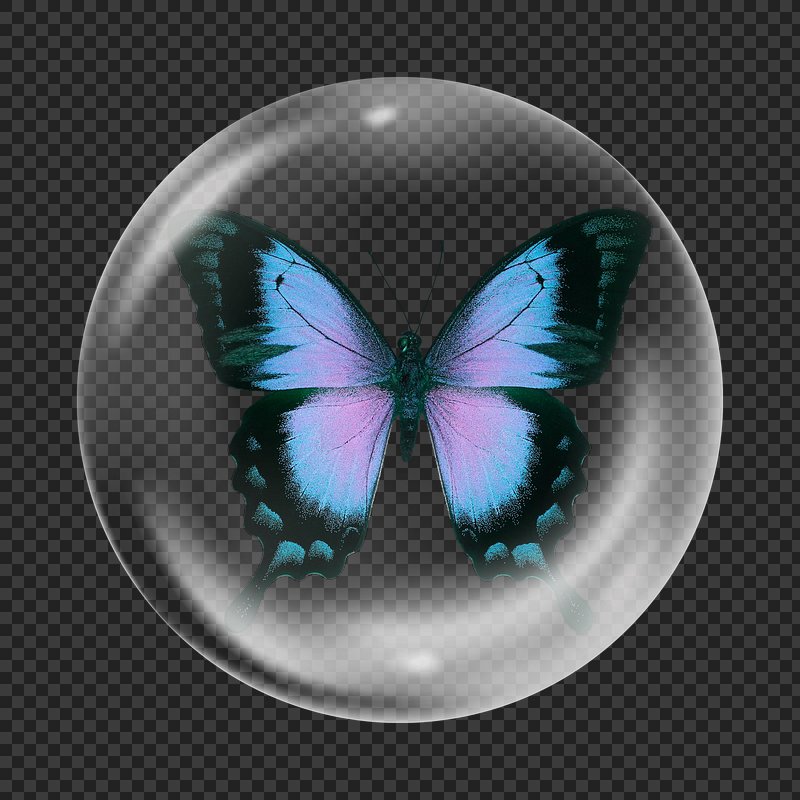 Bubble With Butterfly Images | Free Photos, PNG Stickers, Wallpapers ...
