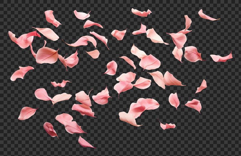 Flowers Falling PNG Images | Free Photos, PNG Stickers, Wallpapers ...