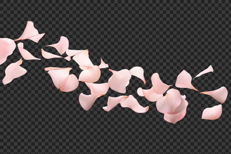 Flowers Falling PNG Images | Free Photos, PNG Stickers, Wallpapers ...