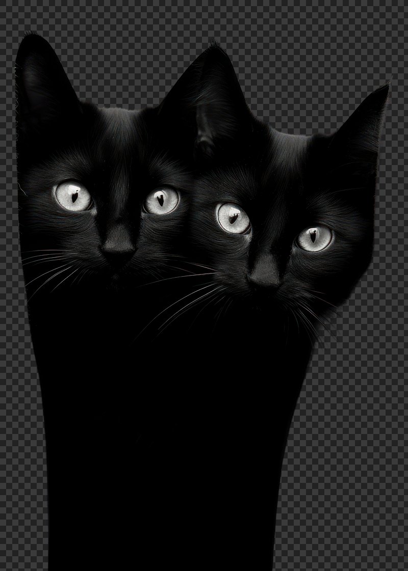 Light Cartoon Images | Free Photos, PNG Stickers, Wallpapers ...