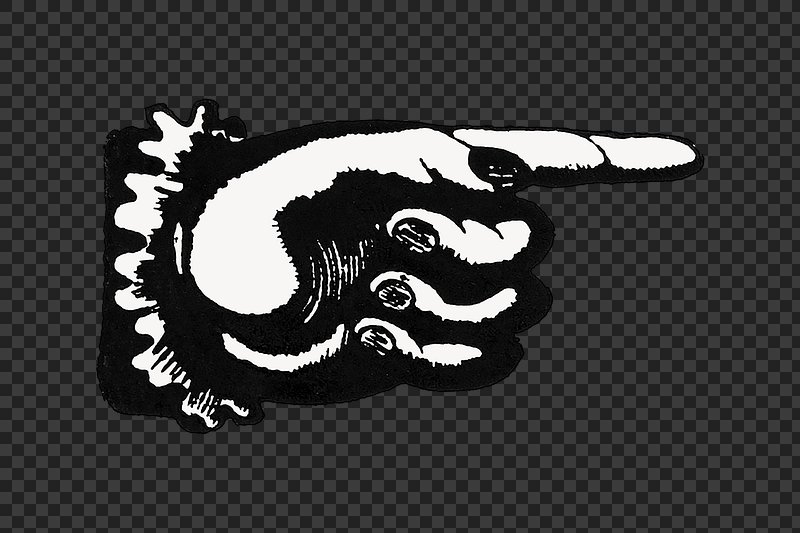 Baby Label White Images | Free Photos, PNG Stickers, Wallpapers ...