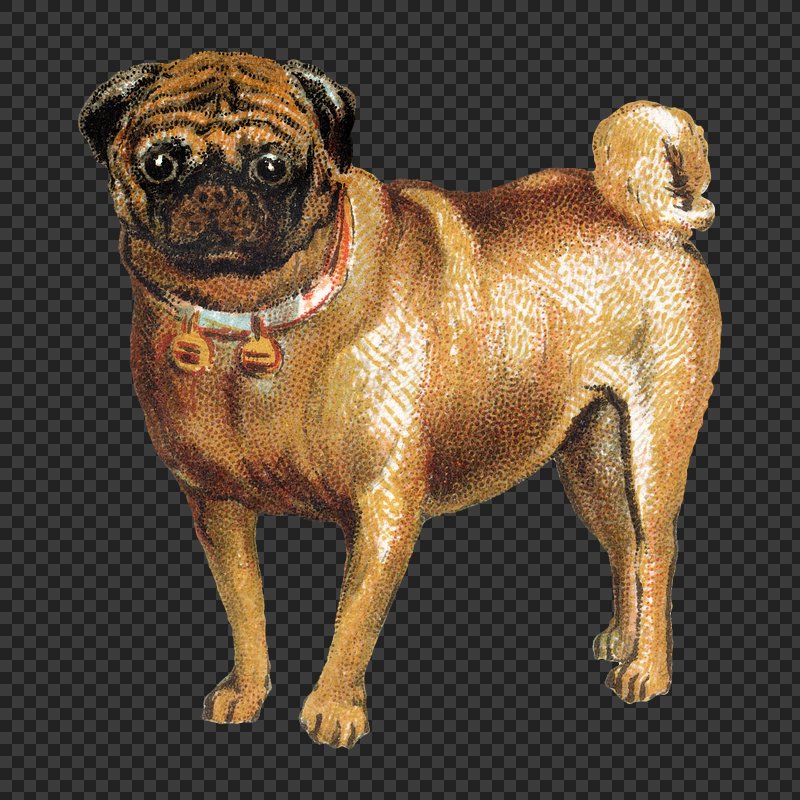 Museum Cartoon Hd Images | Free Photos, PNG Stickers, Wallpapers ...