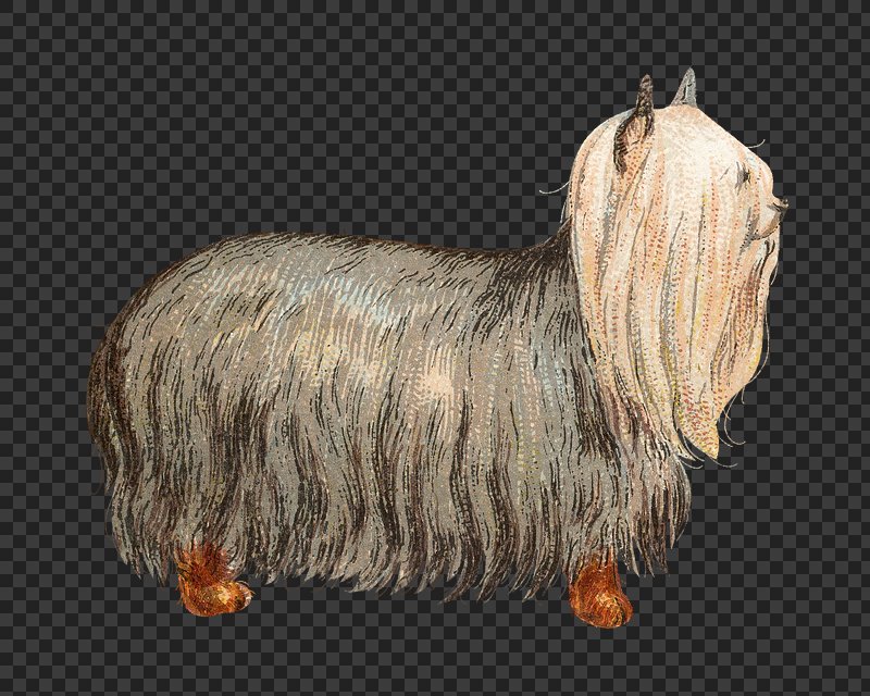 Judge Old Metropolitan Images | Free Photos, PNG Stickers, Wallpapers ...