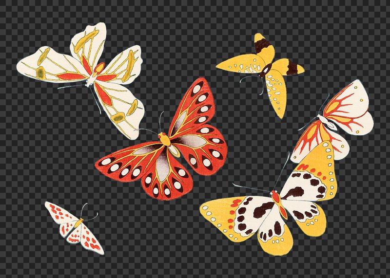 Aesthetic Woodcut PNG Images | Free Photos, PNG Stickers, Wallpapers ...