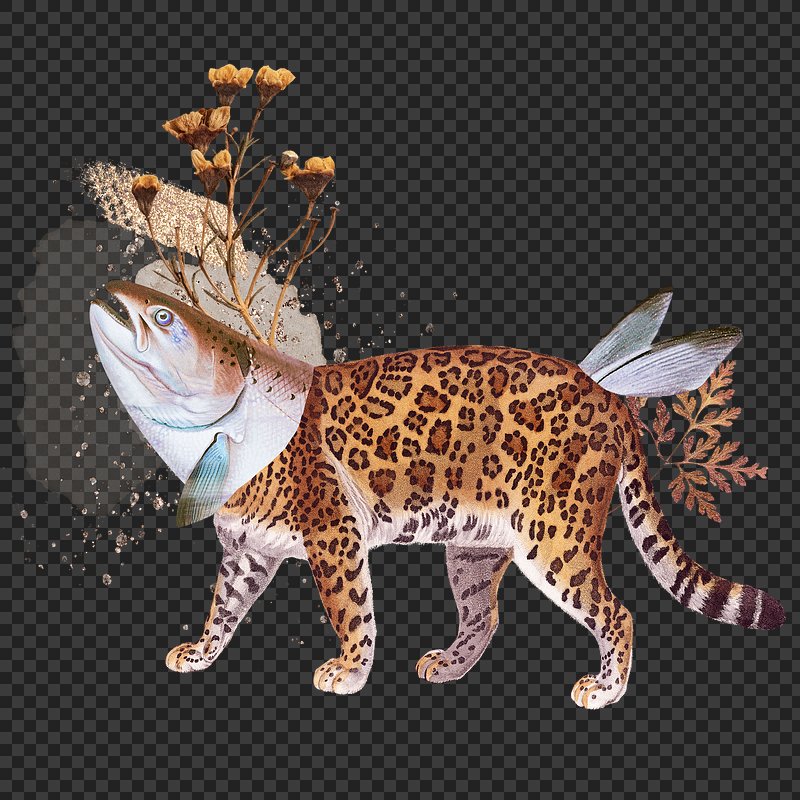 Leopard Aesthetic Images | Free Photos, PNG Stickers, Wallpapers ...