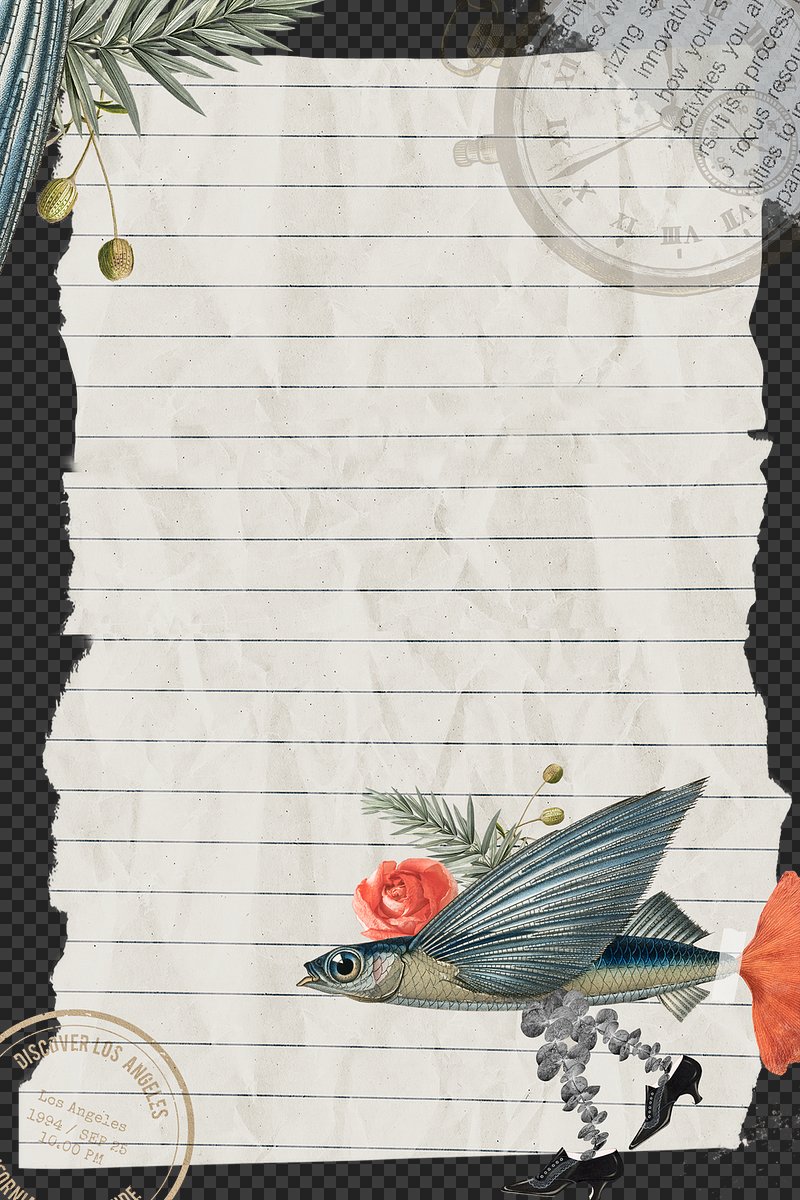 Shoe+animal Transparent Images | Free Photos, PNG Stickers, Wallpapers ...