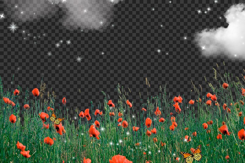 Flower field png border, red | Premium PNG - rawpixel