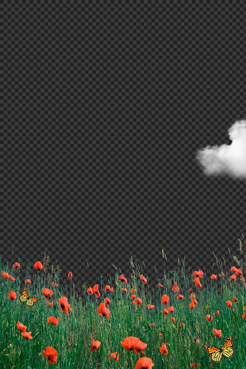 Flower field png border, red | Premium PNG - rawpixel