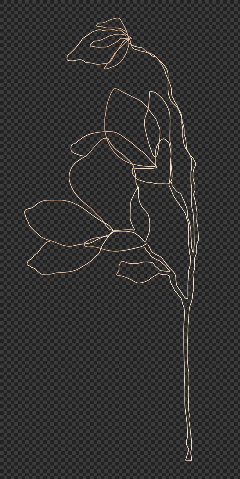 Png flower single line in hand | Free PNG Sticker - rawpixel