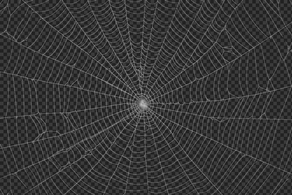 PNG Intricate spider web overlay | Free PNG - rawpixel