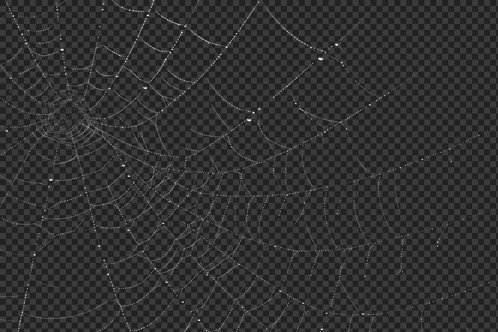 PNG spider web overlay effect | Free PNG - rawpixel