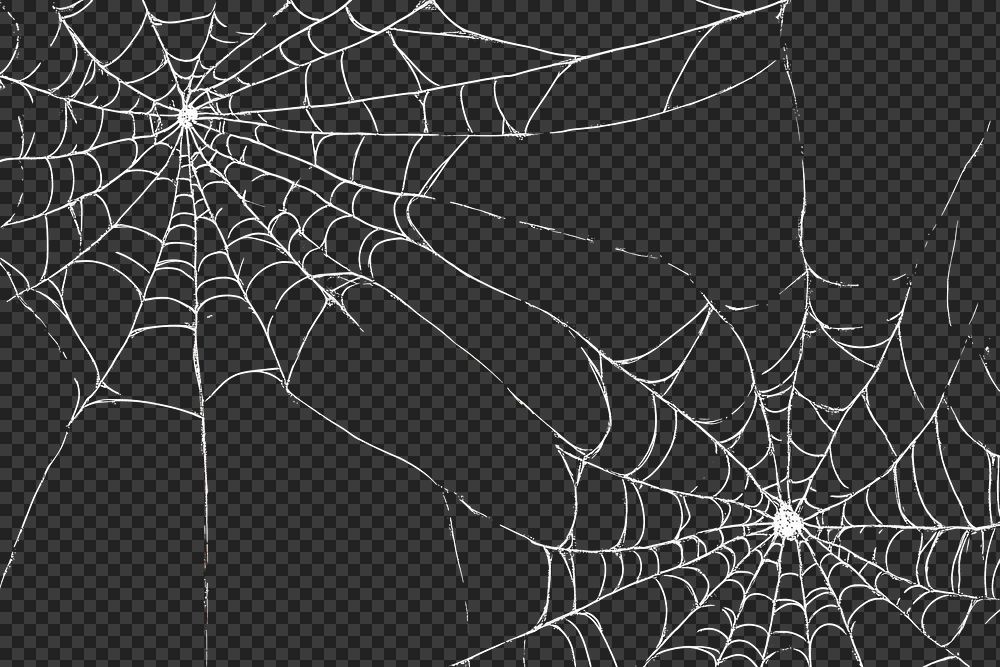 PNG Abstract Halloween cobweb line | Free PNG - rawpixel