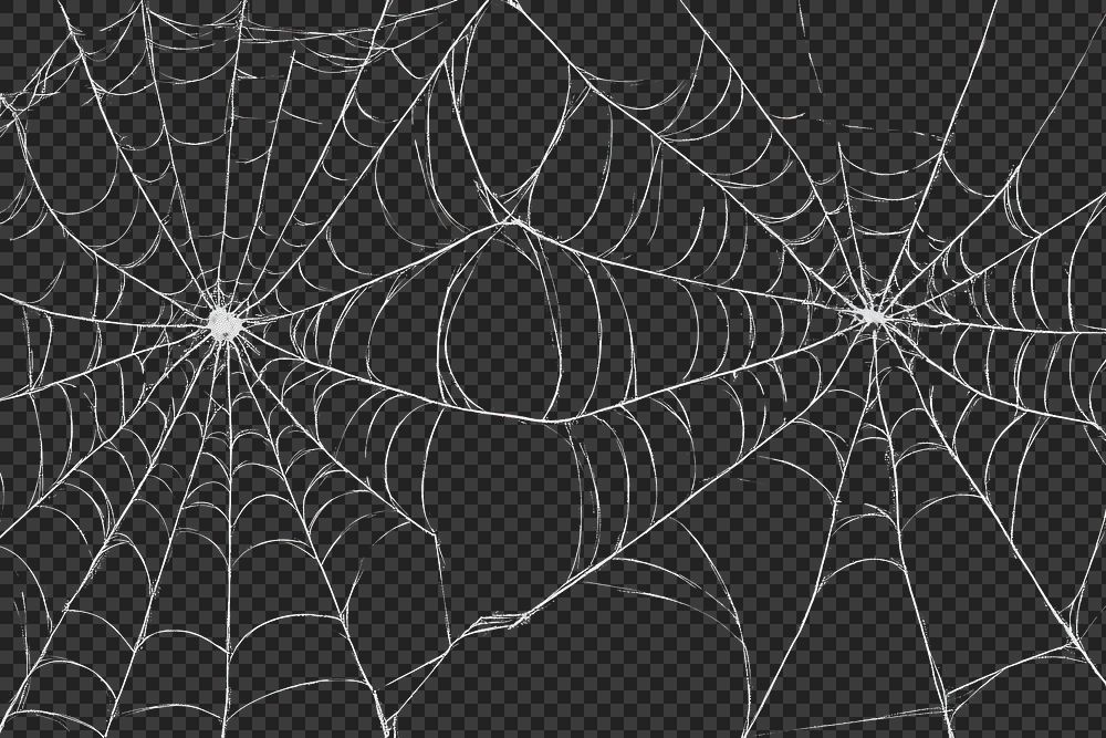 PNG An abstract spider web | Free PNG - rawpixel