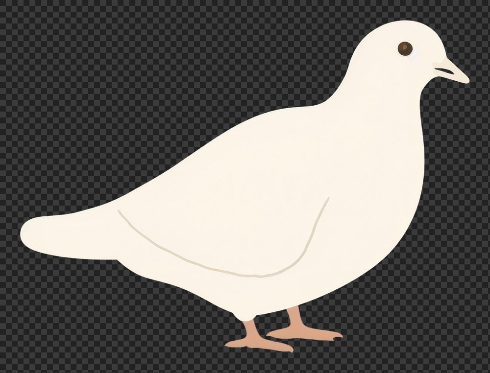 PNG Illustration simple dove animal | Free PNG Illustration - rawpixel