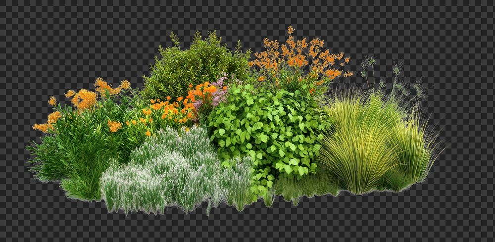 PNG Group different bushes landscape | Free PNG - rawpixel