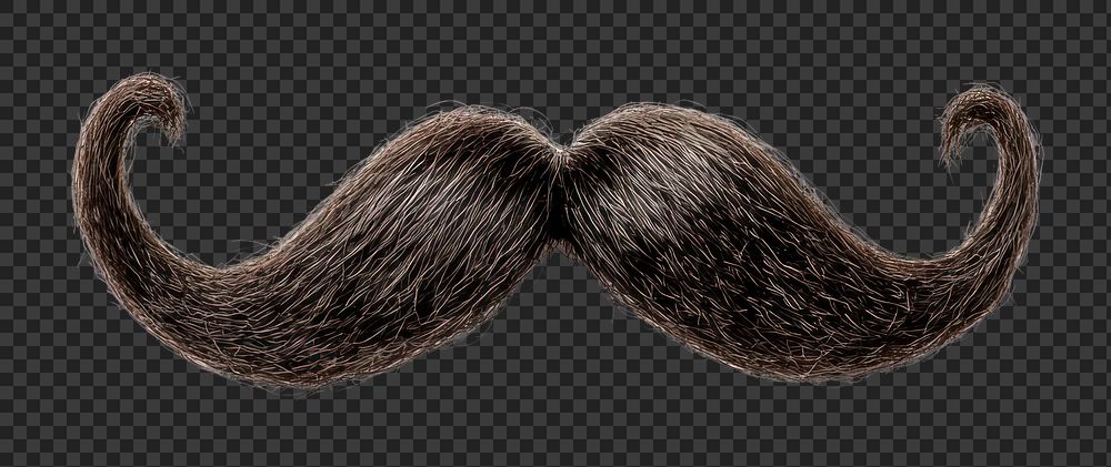 PNG Real pyramidal mustache grooming | Free PNG - rawpixel