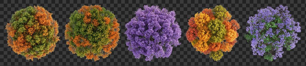 PNG Colorful spherical floral arrangements | Premium PNG - rawpixel