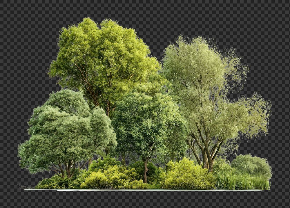 Marsh Transparent Scenery Images | Free Photos, PNG Stickers ...