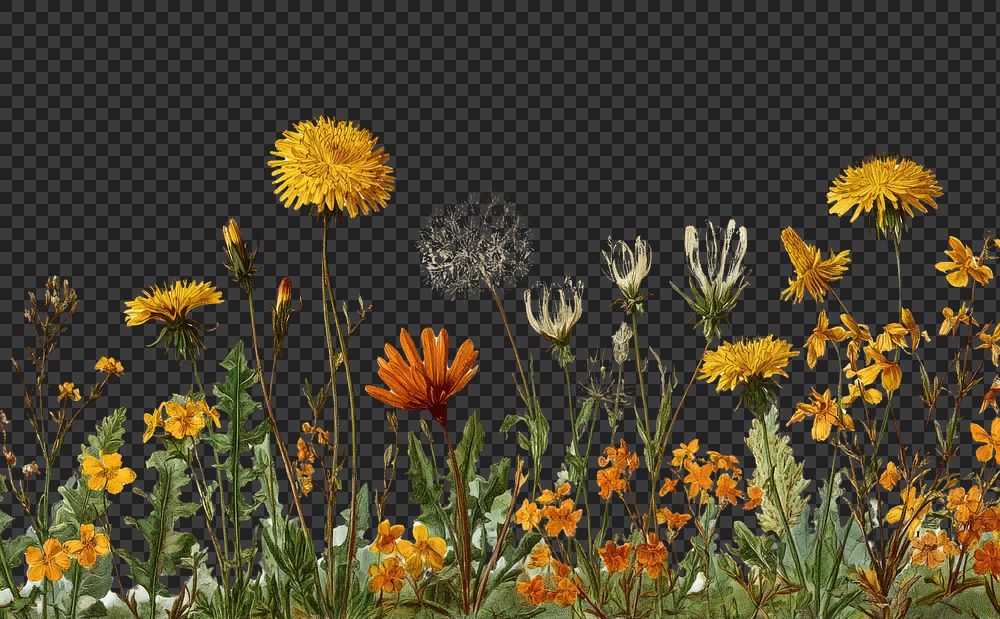 Desktop Background Design PNG Border Images | Free Photos, PNG Stickers ...