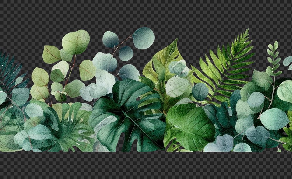 Monstera Watercolor Shadow Images | Free Photos, PNG Stickers ...