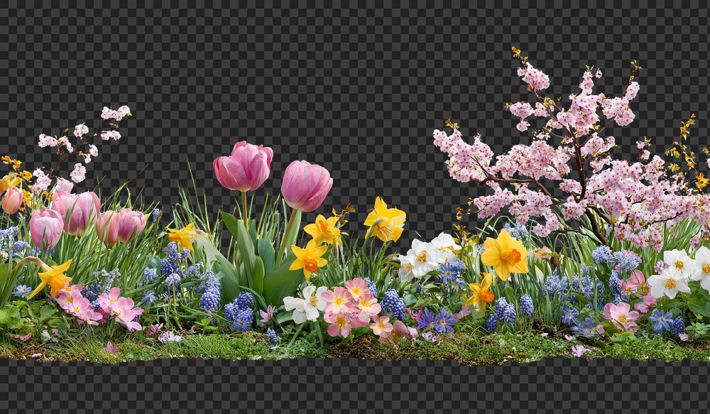 Border Mockup Botanical Images | Free Photos, PNG Stickers, Wallpapers ...