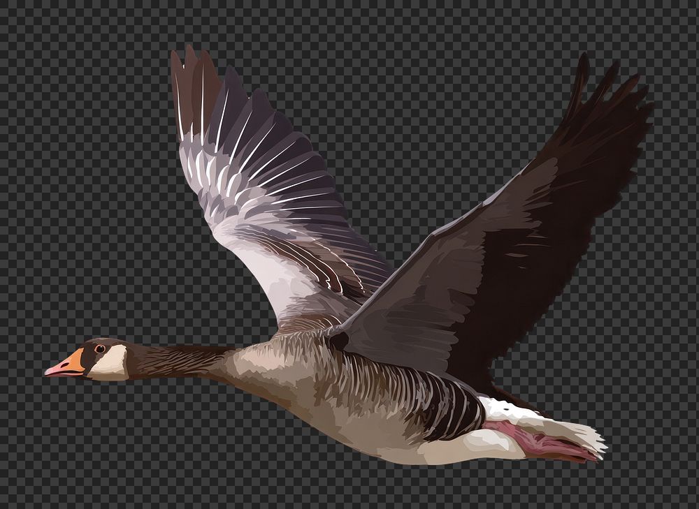 Geese+clipart PNG Images | Free Photos, PNG Stickers, Wallpapers ...