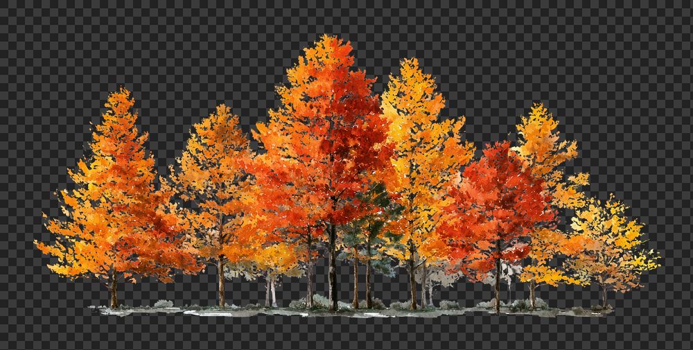 Landscape Ground Trees Forest Autumn Leaves Images | Free Photos, PNG ...