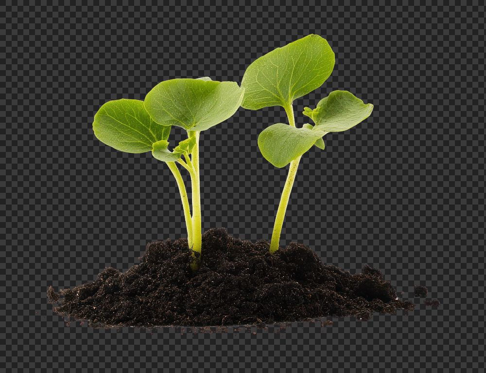 Early+life+and+background Texture Images | Free Photos, PNG Stickers ...