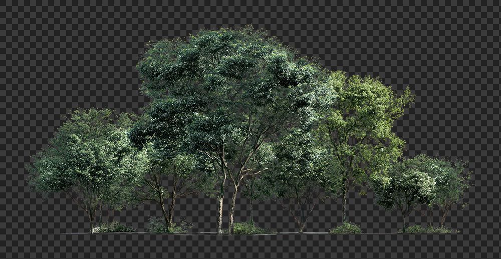 Landscape Ground Trees Forest Scenery PNG Images | Free Photos, PNG ...
