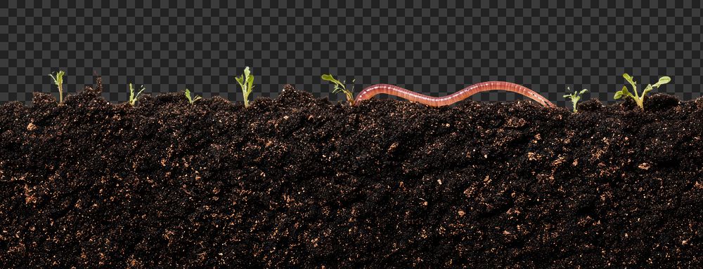 Cross+border Nature Transparent Photo Images | Free Photos, PNG ...