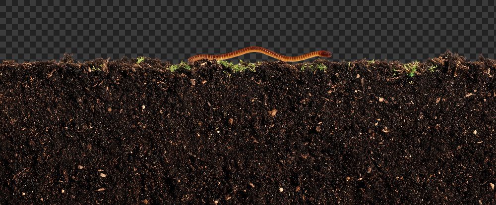 Cross+border Nature Transparent Background Images | Free Photos, PNG ...