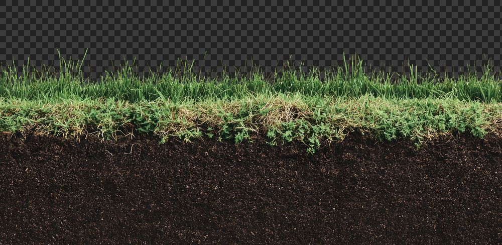 Cross+border Nature Transparent Texture Images | Free Photos, PNG ...