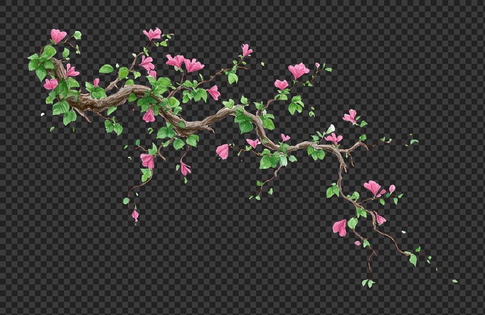 Woody+art Pattern Images | Free Photos, PNG Stickers, Wallpapers ...