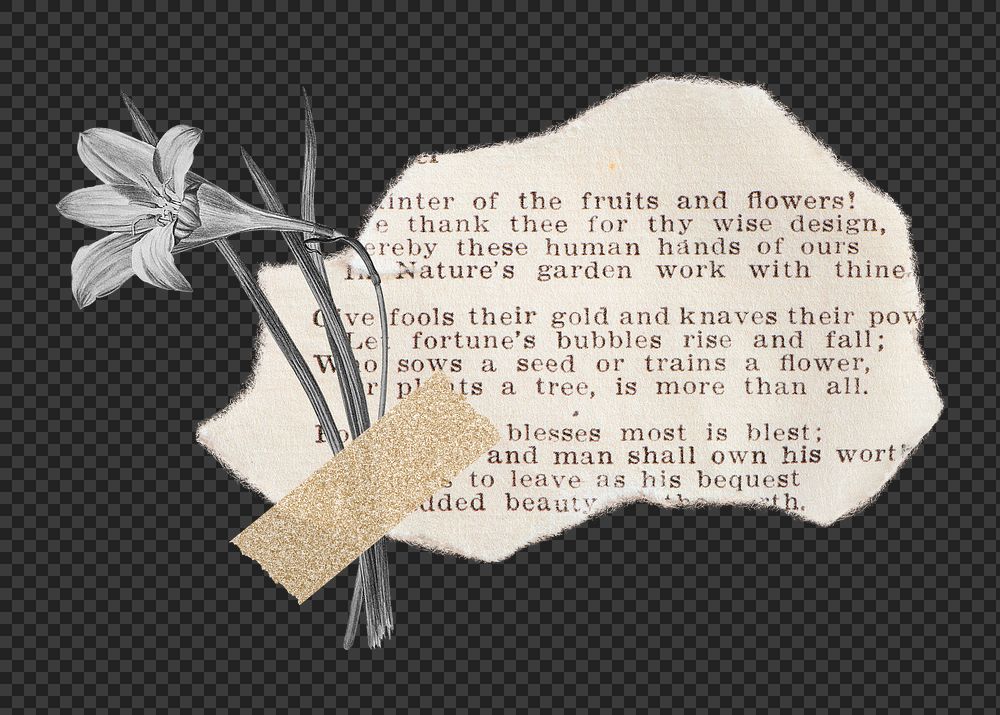 Aesthetic, Design Resource Images | Free Photos, PNG Stickers ...