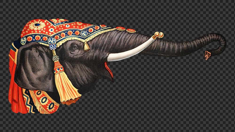 Circus Poster PNG Images | Free Photos, PNG Stickers, Wallpapers ...