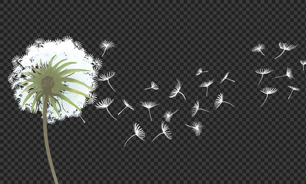 Dandelions png border, transparent background | Premium PNG - rawpixel