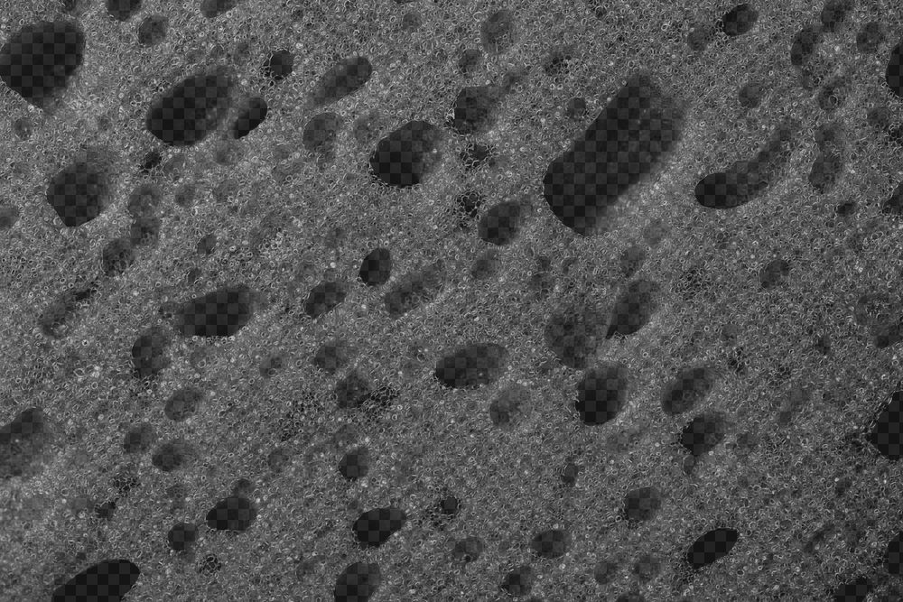 PNG transparent sponge texture design | Premium PNG - rawpixel