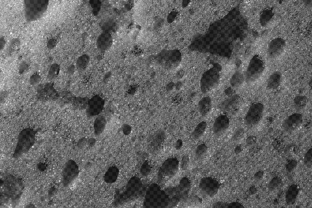 PNG transparent sponge texture design | Premium PNG - rawpixel
