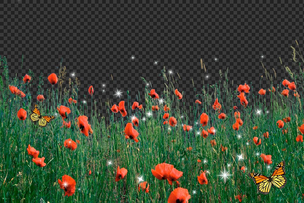 Flower field png border, red | Premium PNG - rawpixel